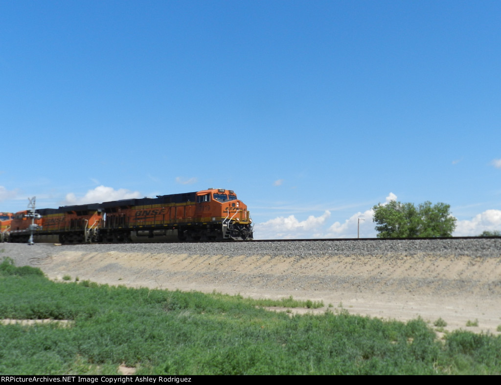BNSF 7119